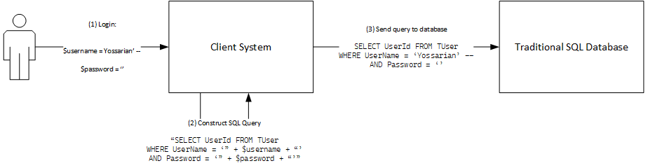 Primer Introduction To Sql Injection Attacks Firesand 0059